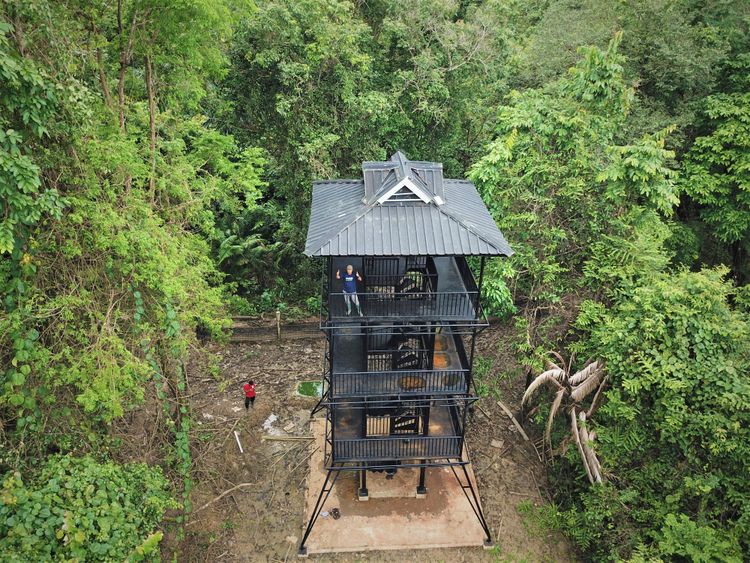 Translokasi Badak Jawa, TNUK: Tetap di Habitat Aslinya - Maklumat untuk ...